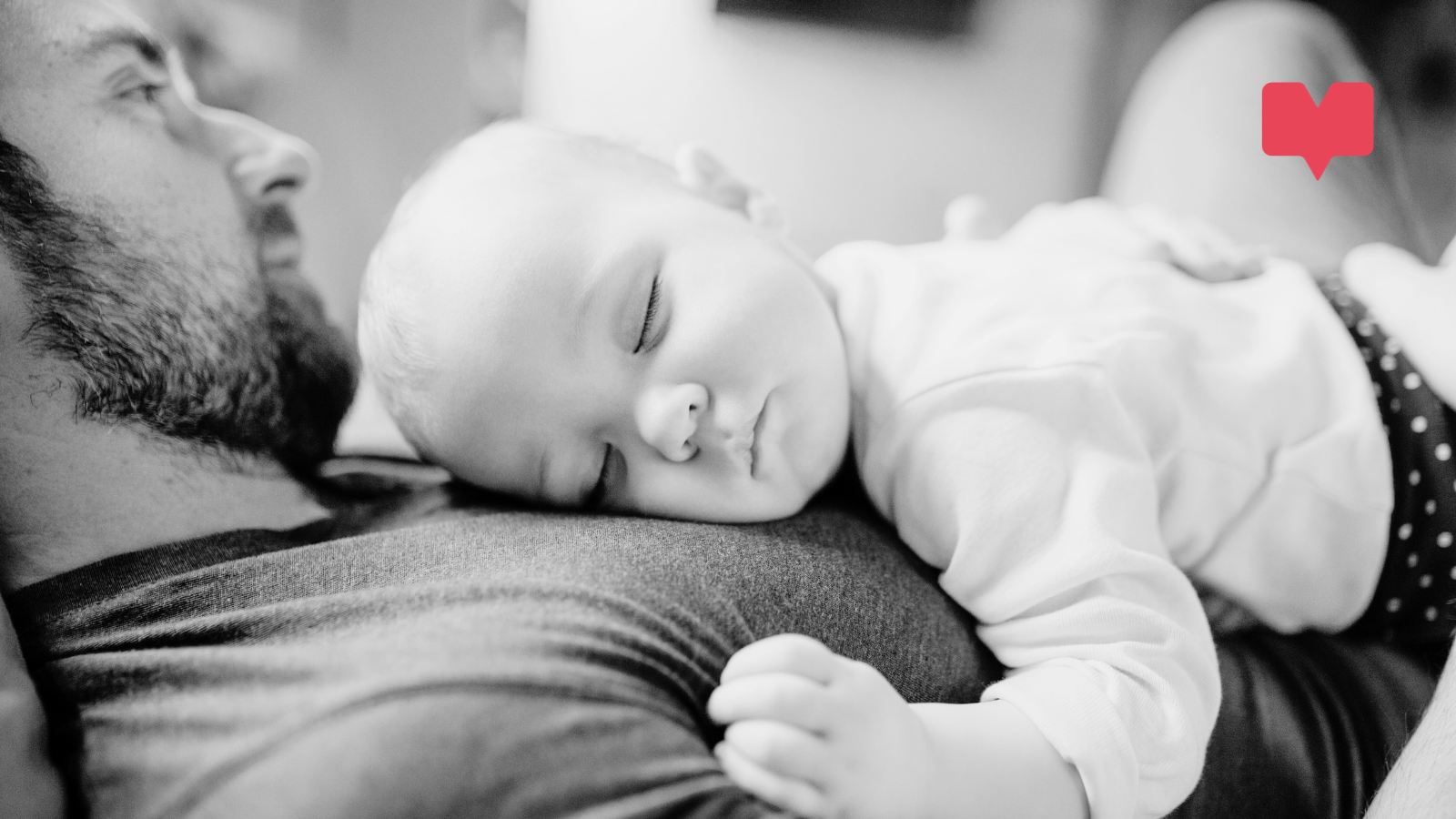 Paternity Leave and Pay - Working Families