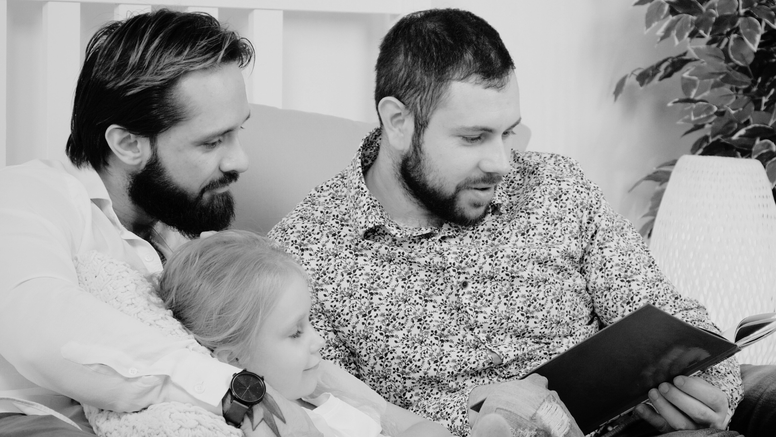 Article Category: Adoption - Working Families