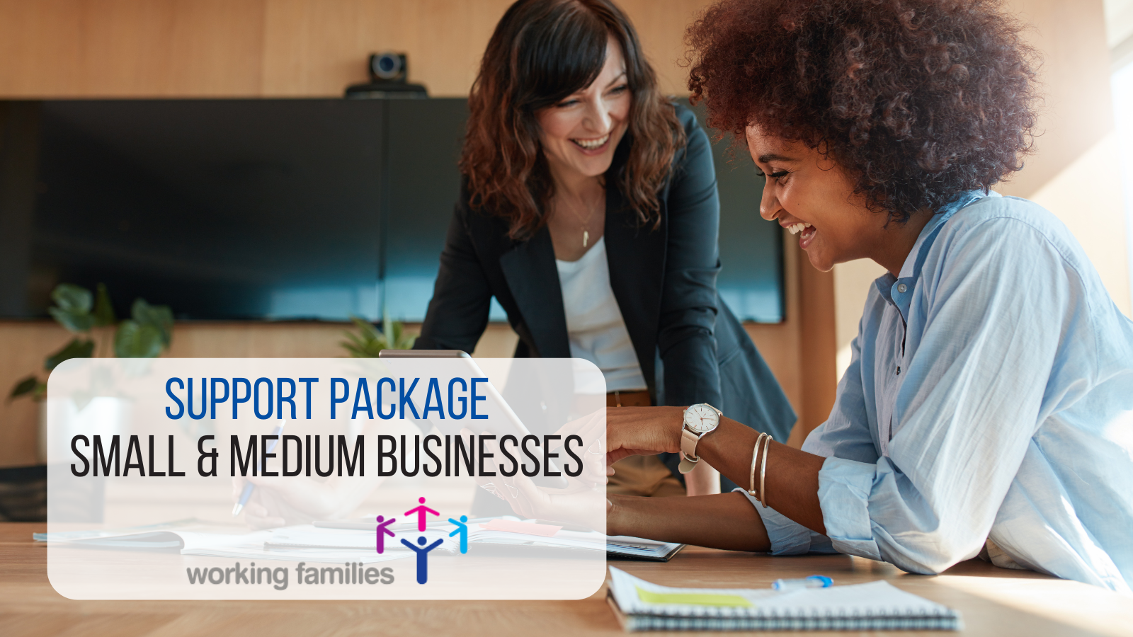 SME Support Package Application - Working Families